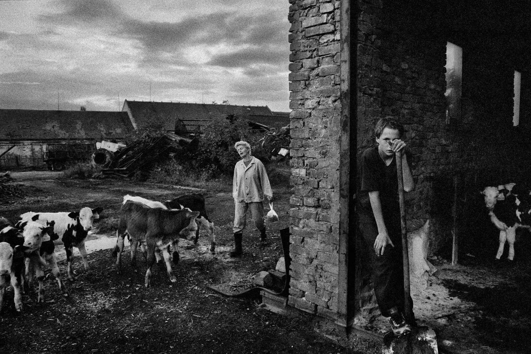 Ibra Ibrahimovic: The Farm III, Pictorial Supplement To The Lost Map o ...